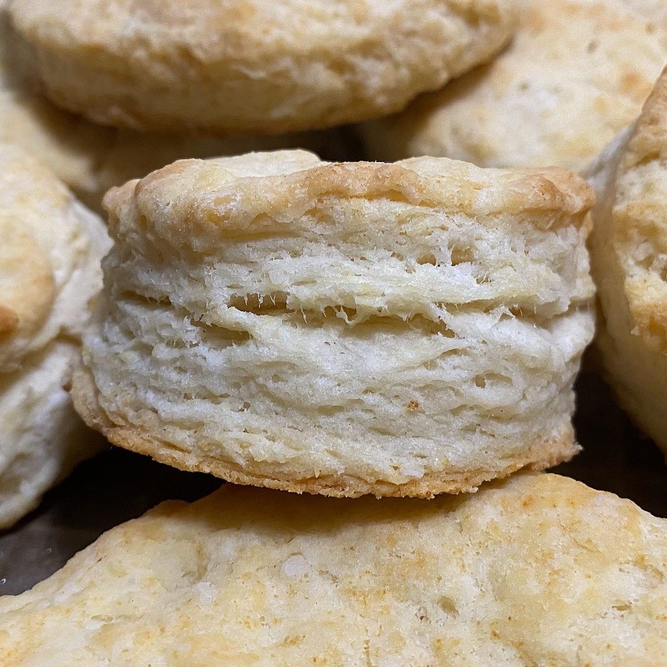 20-mins Old Fashioned Biscuits | For Cooking Blog by jes